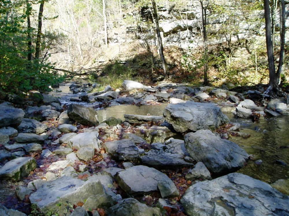 6 Simple ways to help the Environment