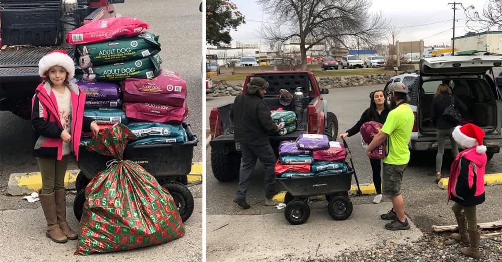 Instead Of Asking For Toys For Christmas, 8-Year Old Gives Shelter ...