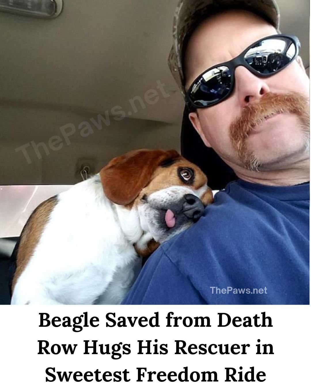 Man Saves Beagle From Euthanasia at Shelter; Dog Thanks Him with a Hug