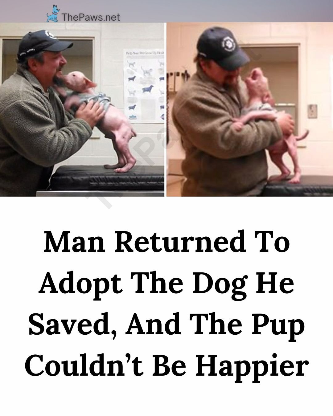 Man Returned To Adopt The Dog He Saved, And The Pup Couldn’t Be Happier
